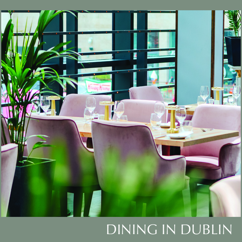 THE FLYING DUCK RESTAURANT IN DUNDRUM TOWN CENTRE IS THE FUNKIEST NEW ...