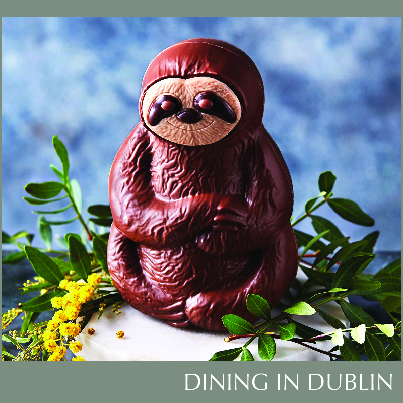 INTRODUCING COLIN THE CATERPILLAR’S NEW BEST FRIEND, SETH THE SLOTH ...